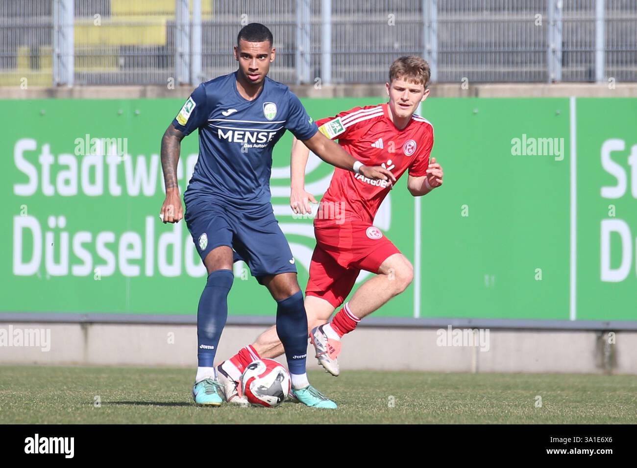 Düsseldorf, Deutschland 08. März 2025: Regionalliga West - 2024/2025 ...