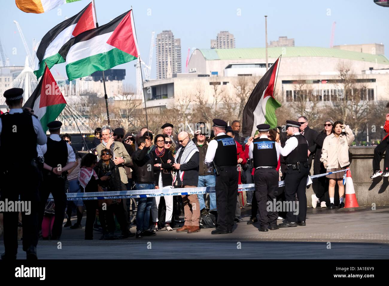 Westminster, London, UK. 8th Mar 2025. A Palestine protester on the ...