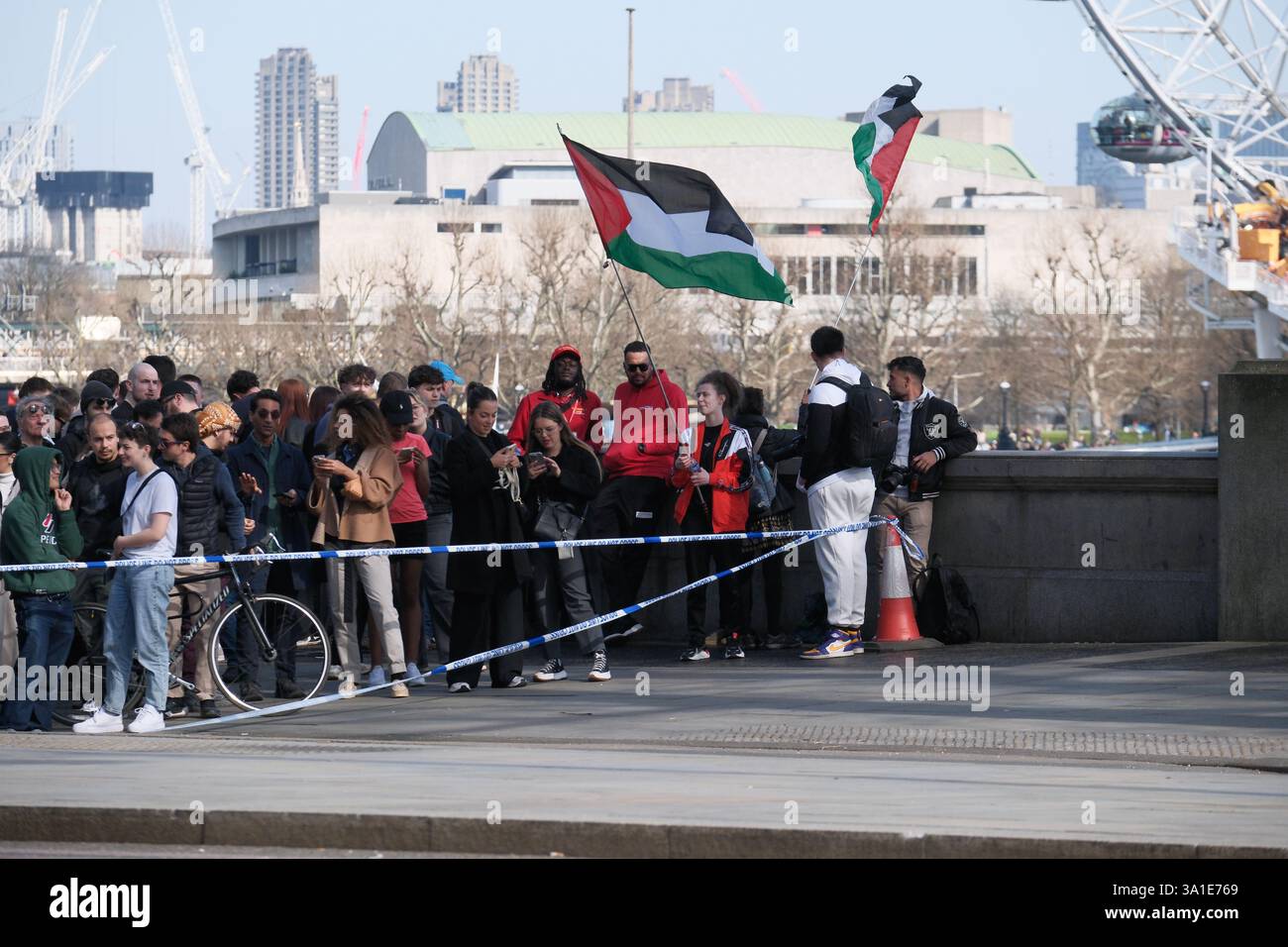 Westminster, London, UK. 8th Mar 2025. A Palestine protester on the ...