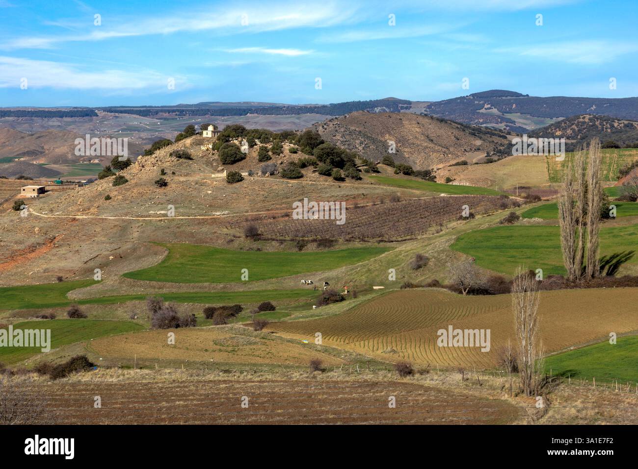 Ifrane, a Moroccan town in the Middle Atlas Mountains, was founded in ...