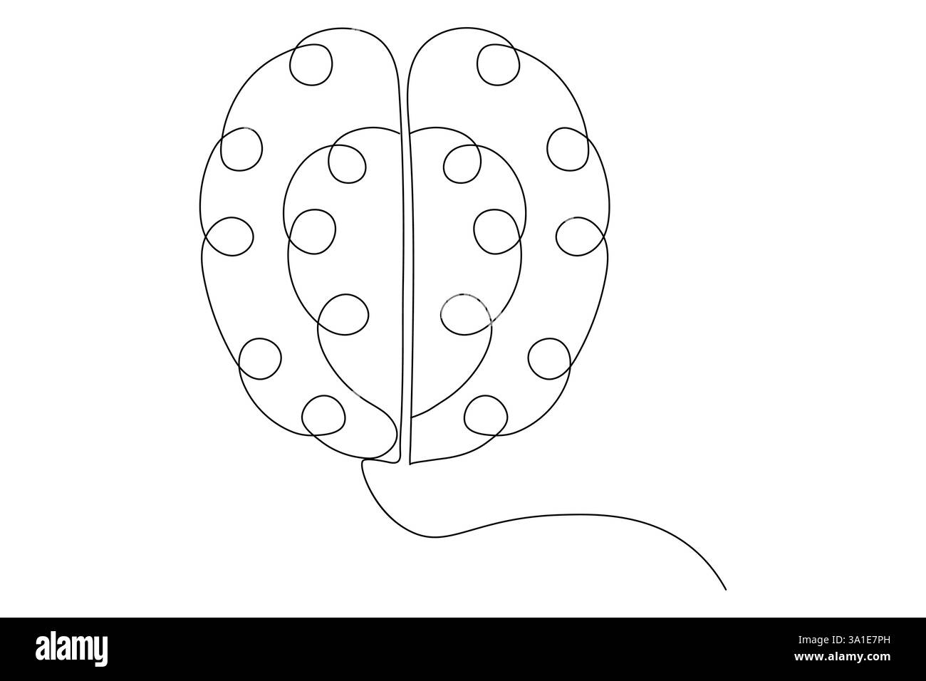 Human brain Continuous one line drawing of line art and vector ...