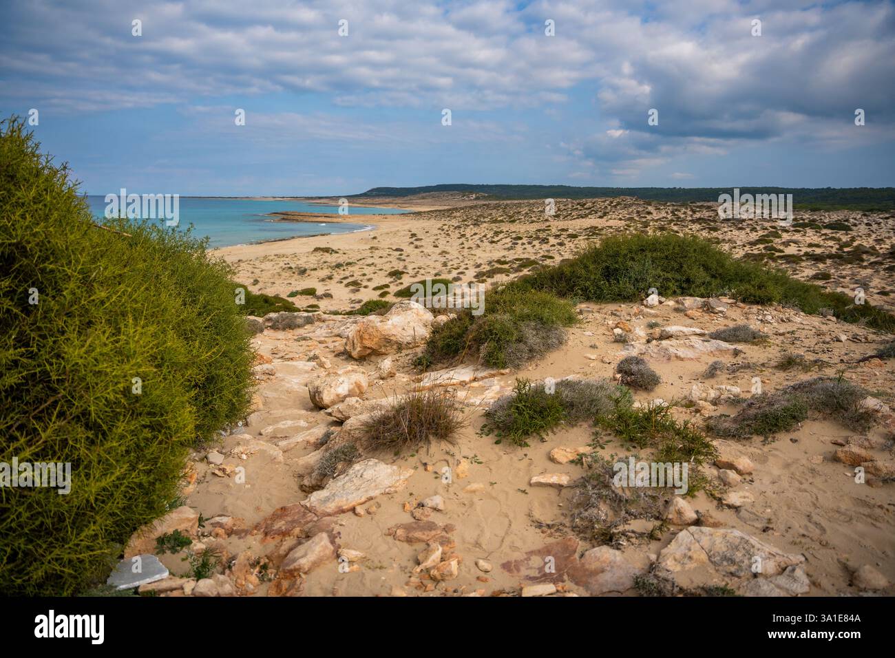 A wild, untouched beach on the northern coast of Cyprus, known as a ...