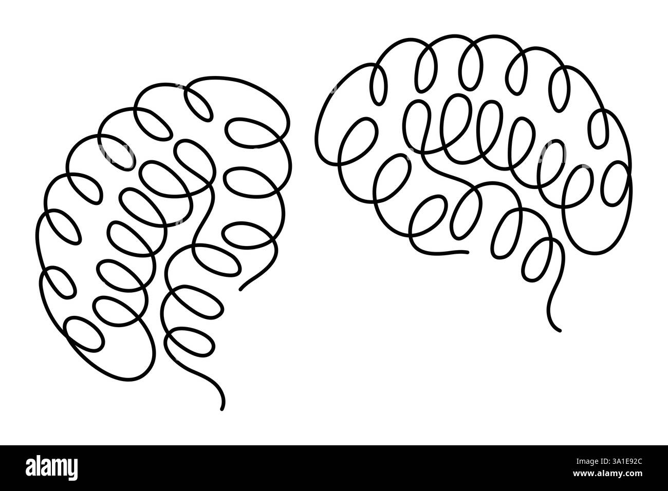 Human brain Continuous one line drawing of line art and vector ...