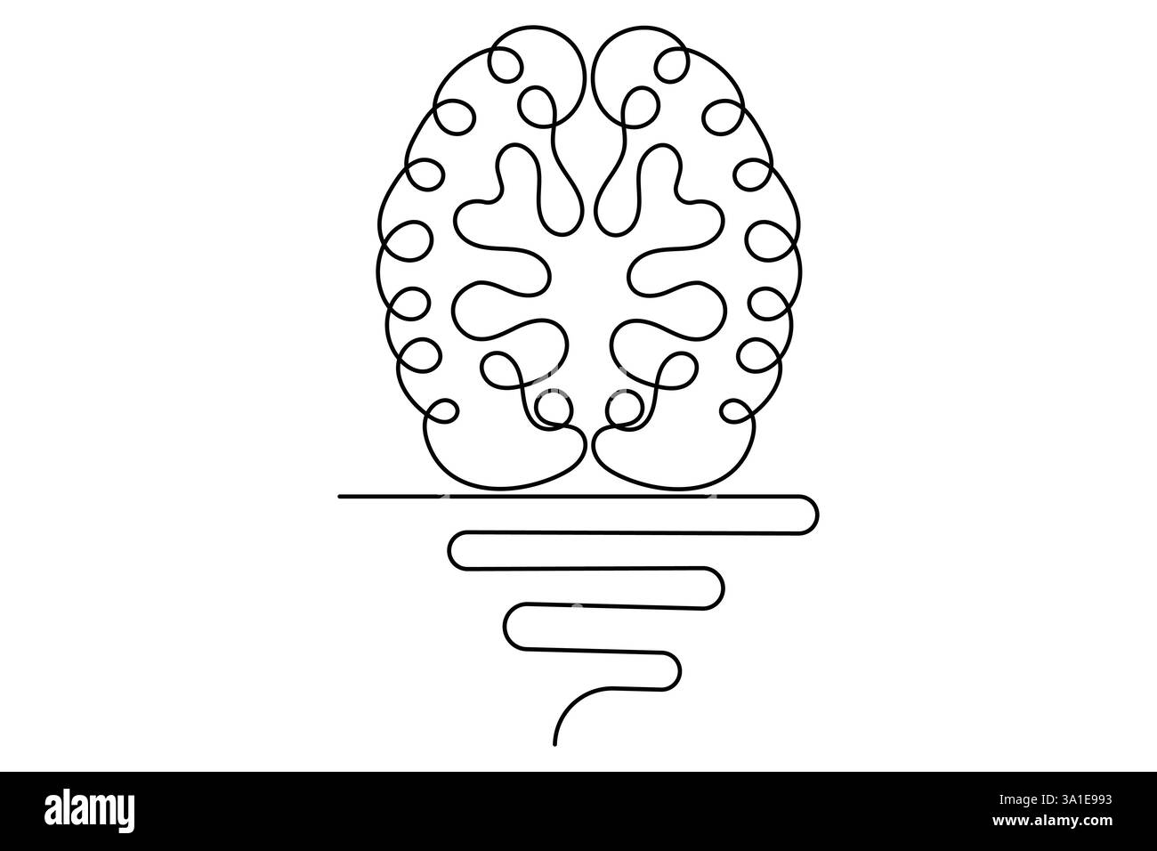 Human brain Continuous one line drawing of line art and vector ...