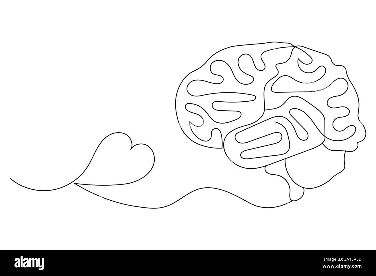 Human brain Continuous one line drawing of line art and vector ...