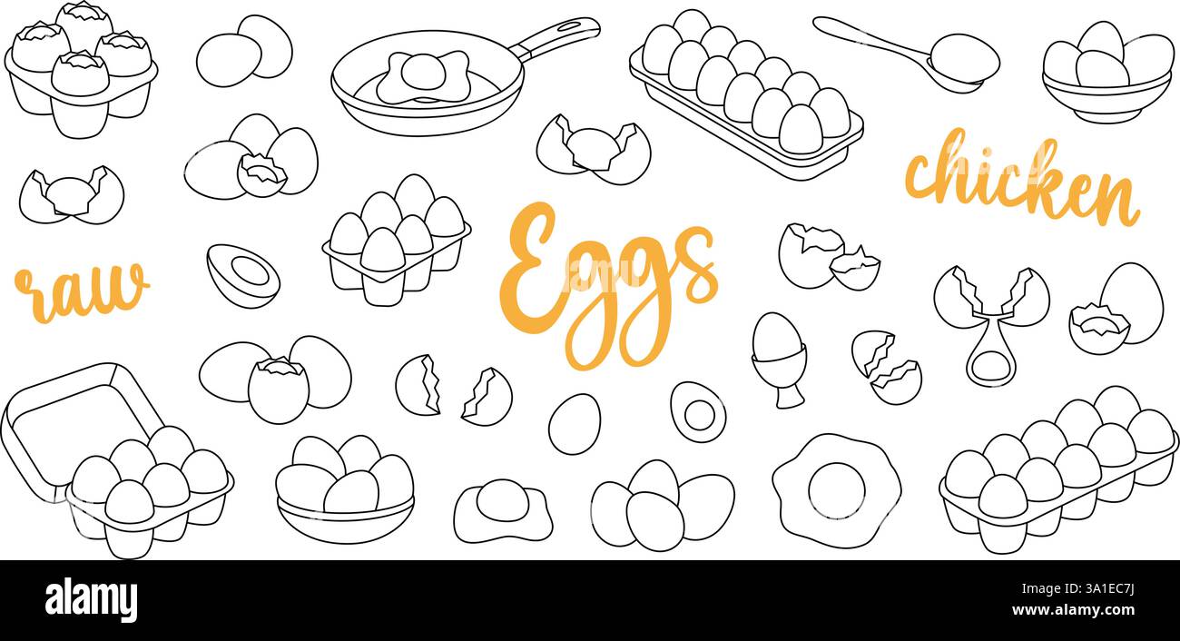 Chicken eggs outline set. Raw and boiled eggs, broken and whole eggshells, protein and yolk ...