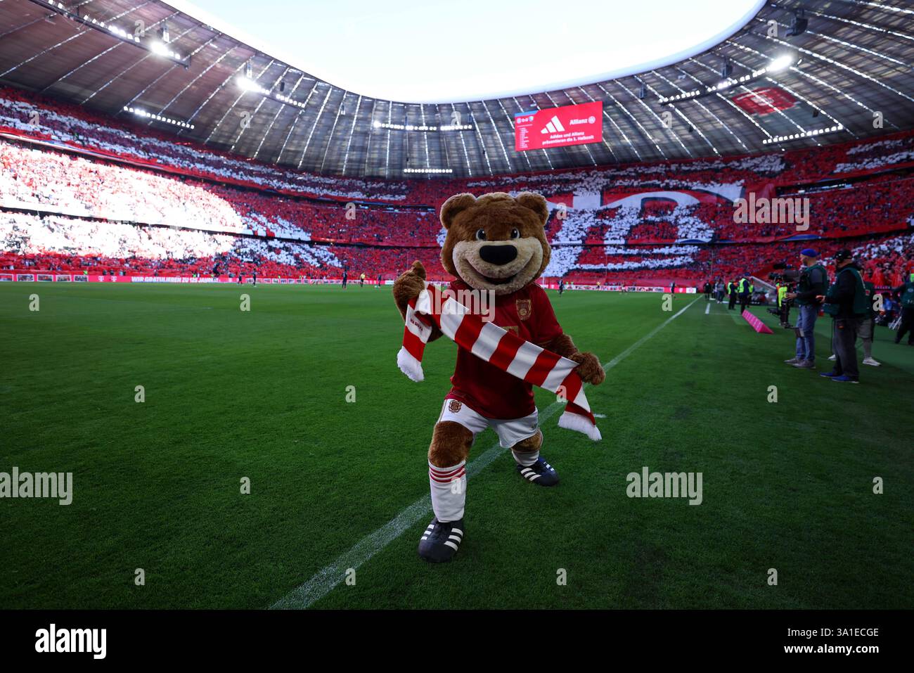 Fussball 1. Bundesliga 25. Spieltag FC Bayern Muenchen - VfL Bochum am ...