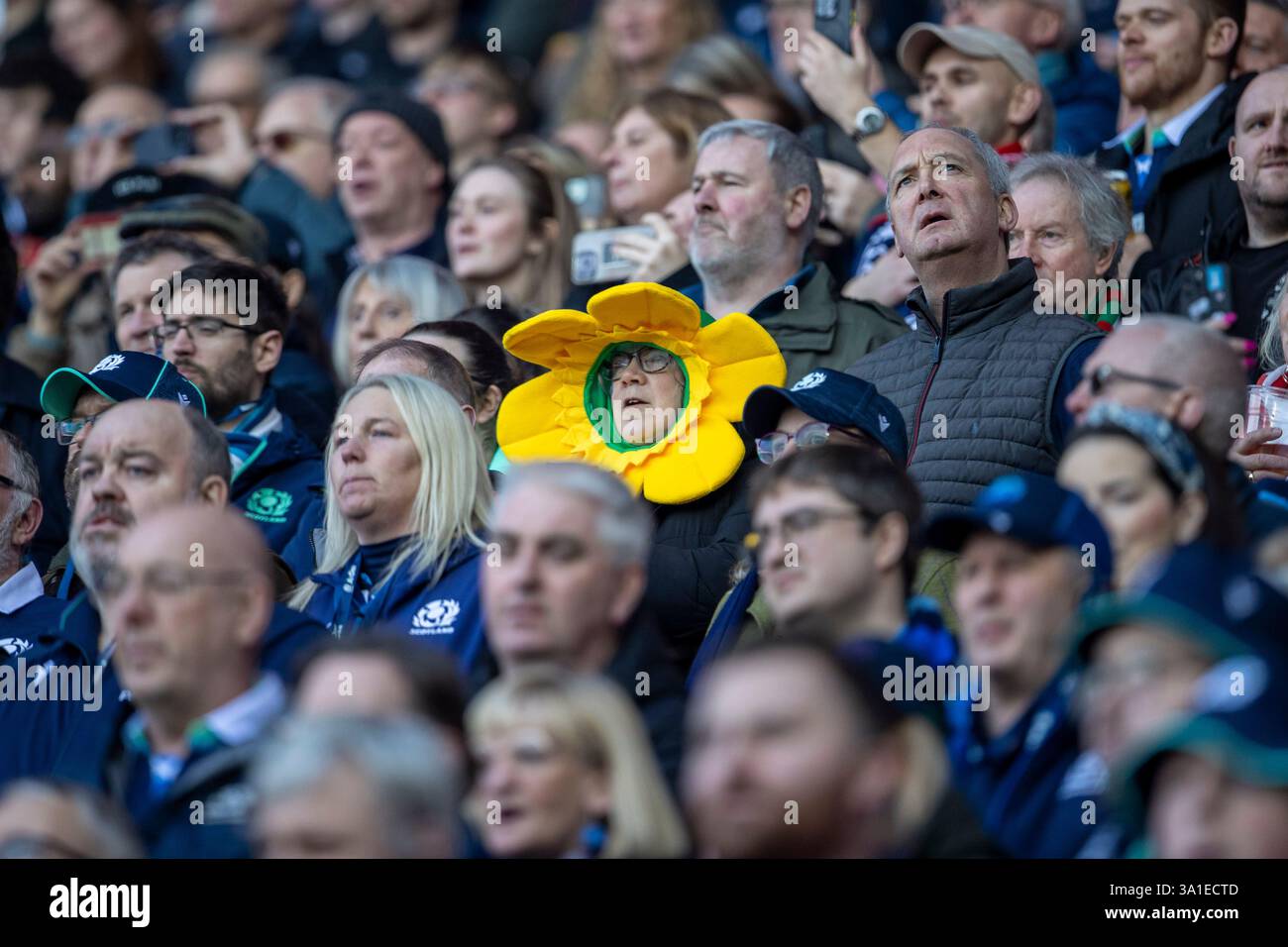 Edinburgh, UK. 8th March 2025; Murrayfield Stadium, Edinburgh, Scotland ...