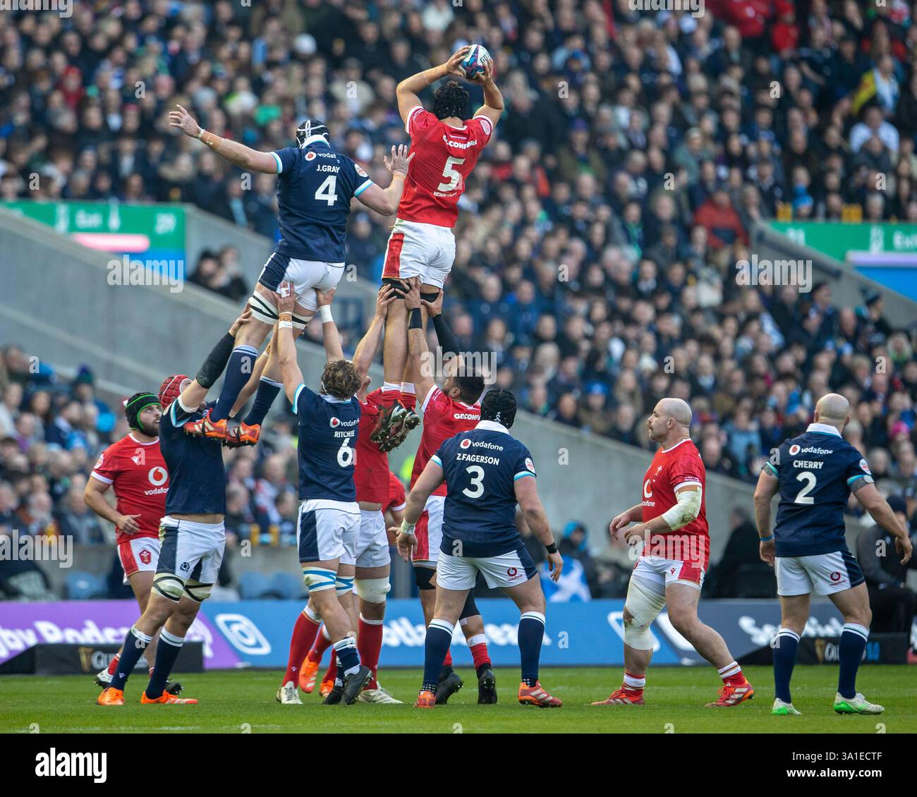 Edinburgh, UK. 8th March 2025; Murrayfield Stadium, Edinburgh, Scotland ...