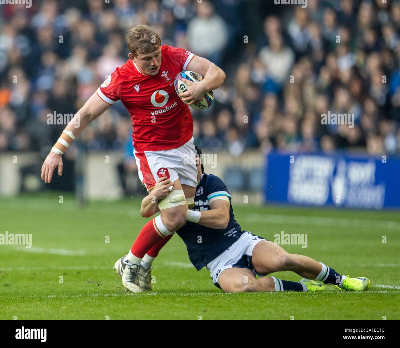 8th March 2025; Murrayfield Stadium, Edinburgh, Scotland: Six Nations ...