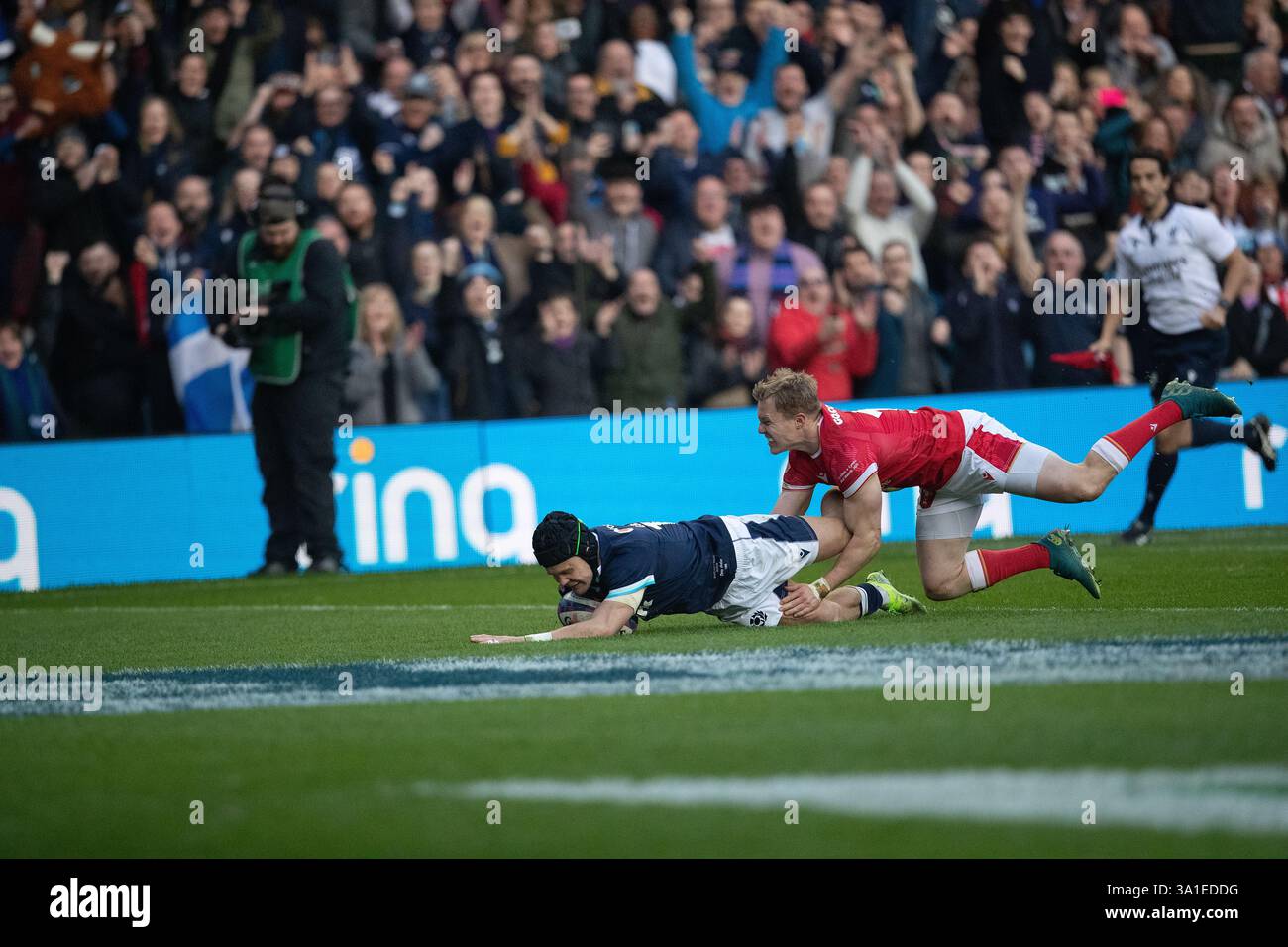 Edinburgh, UK, 8th Mar 2025 - Darcy Graham scores a try for Scotland at ...