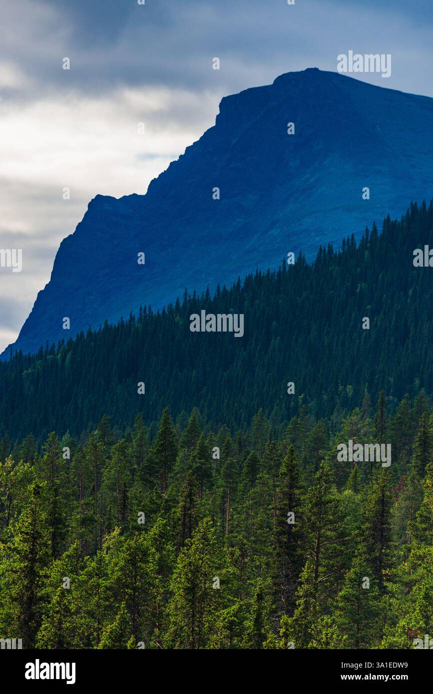 A striking view of a majestic mountain rising above a lush forest in ...