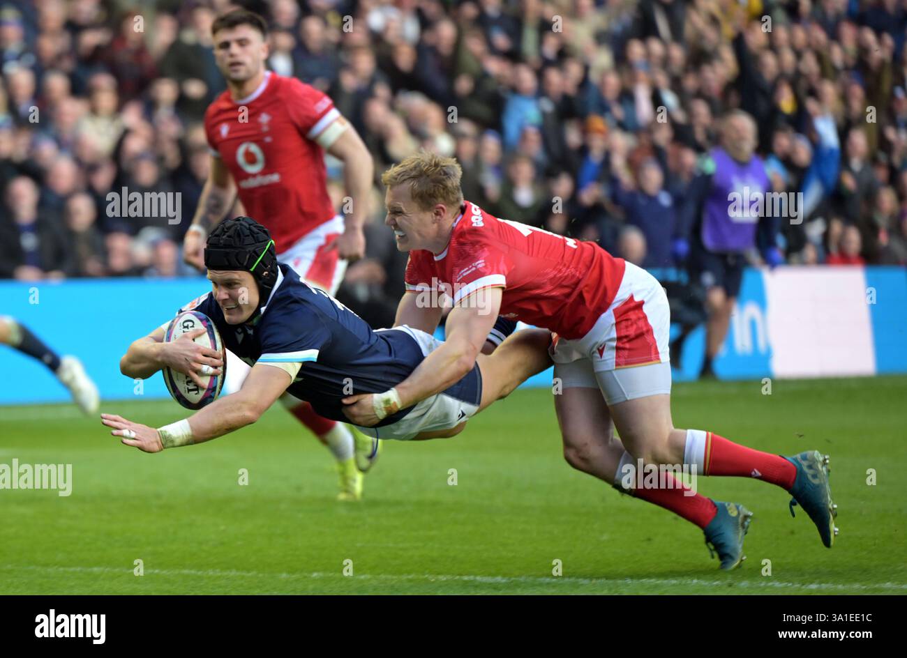 Edinburgh, Scotland, 8th March 2025. Darcy Graham of Scotland scores a ...