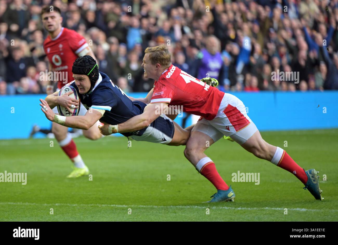 Edinburgh, Scotland, 8th March 2025. Darcy Graham of Scotland scores a ...