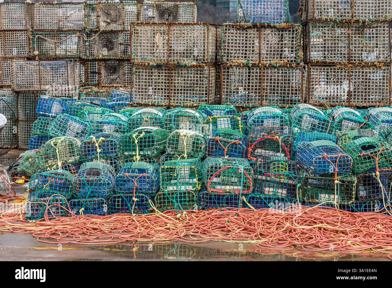 Fishing traps and gear scattered at a dock during the early morning ...