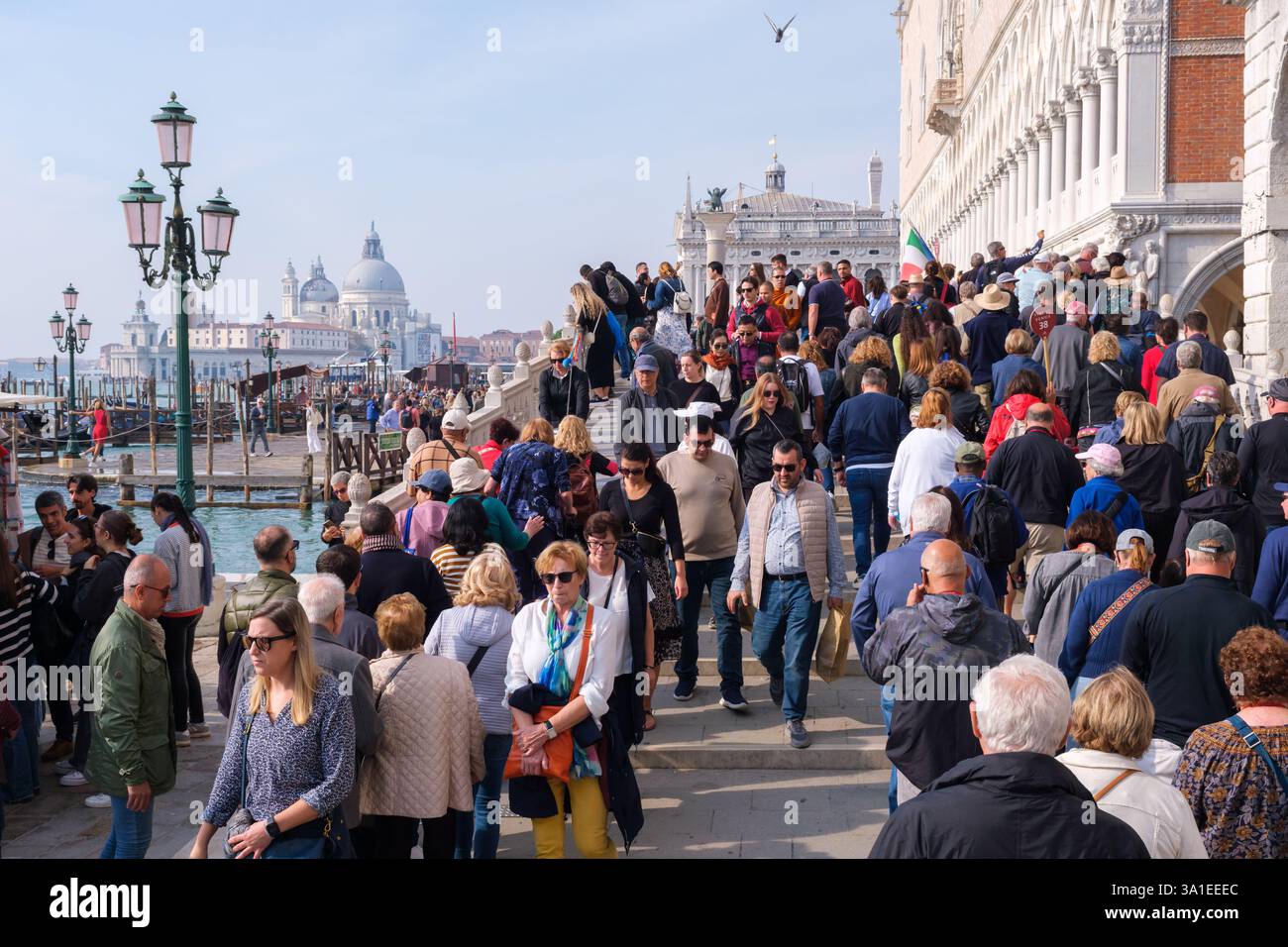 Venice, Italy - 12 October 2024: A crowded scene near the Doge's Palace ...