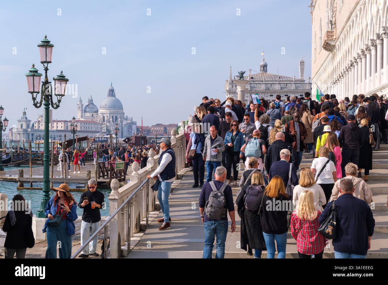 Venice, Italy - 12 October 2024: A crowded scene near the Doge's Palace ...