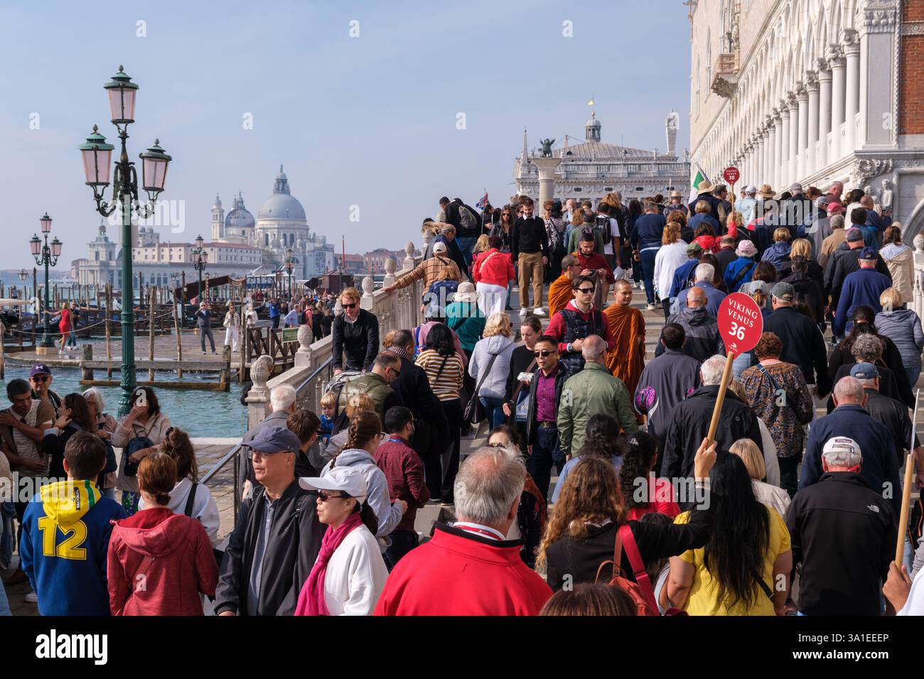 Venice, Italy - 12 October 2024: A crowded scene near the Doge's Palace ...