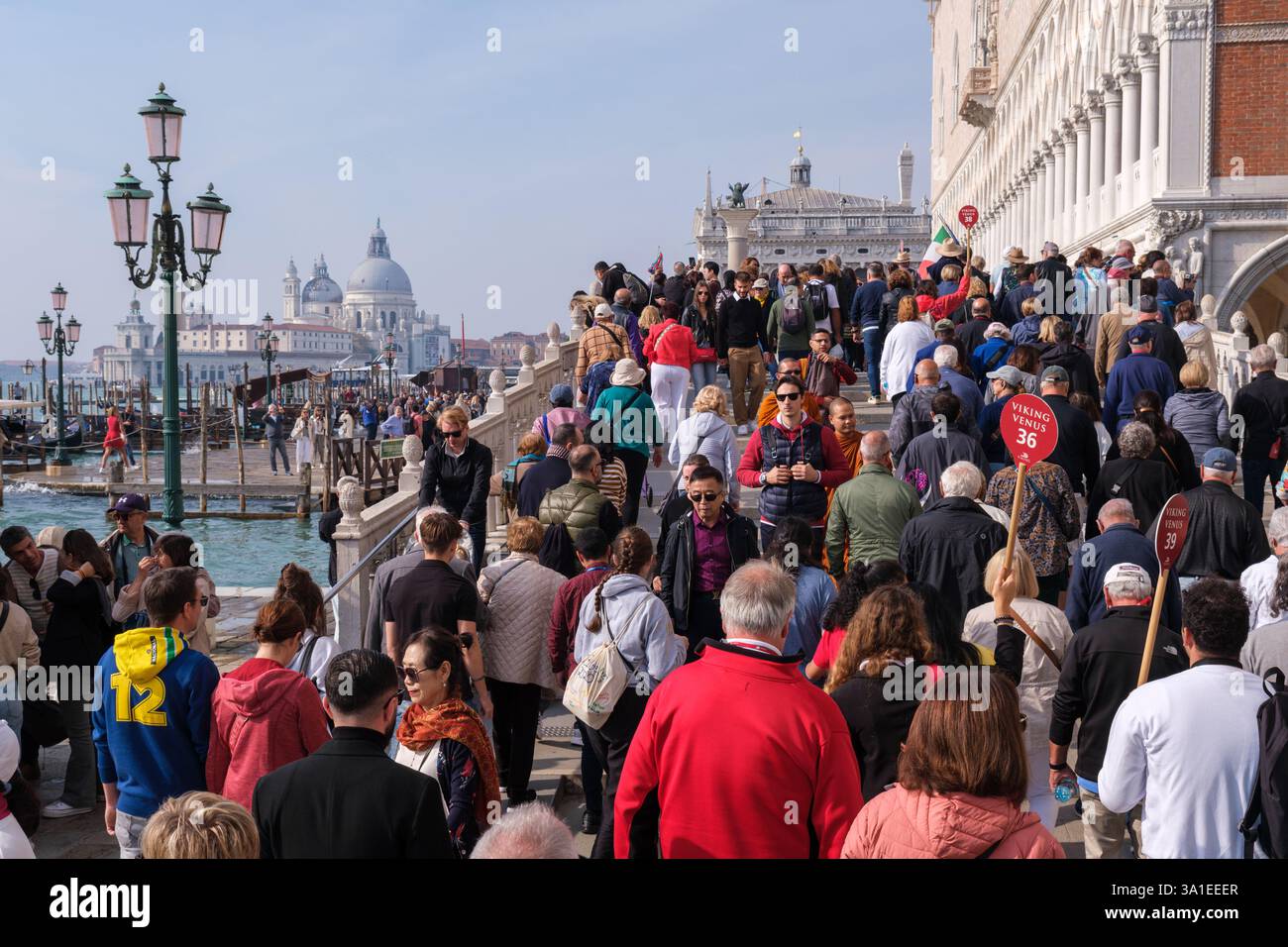 Venice, Italy - 12 October 2024: A crowded scene near the Doge's Palace ...