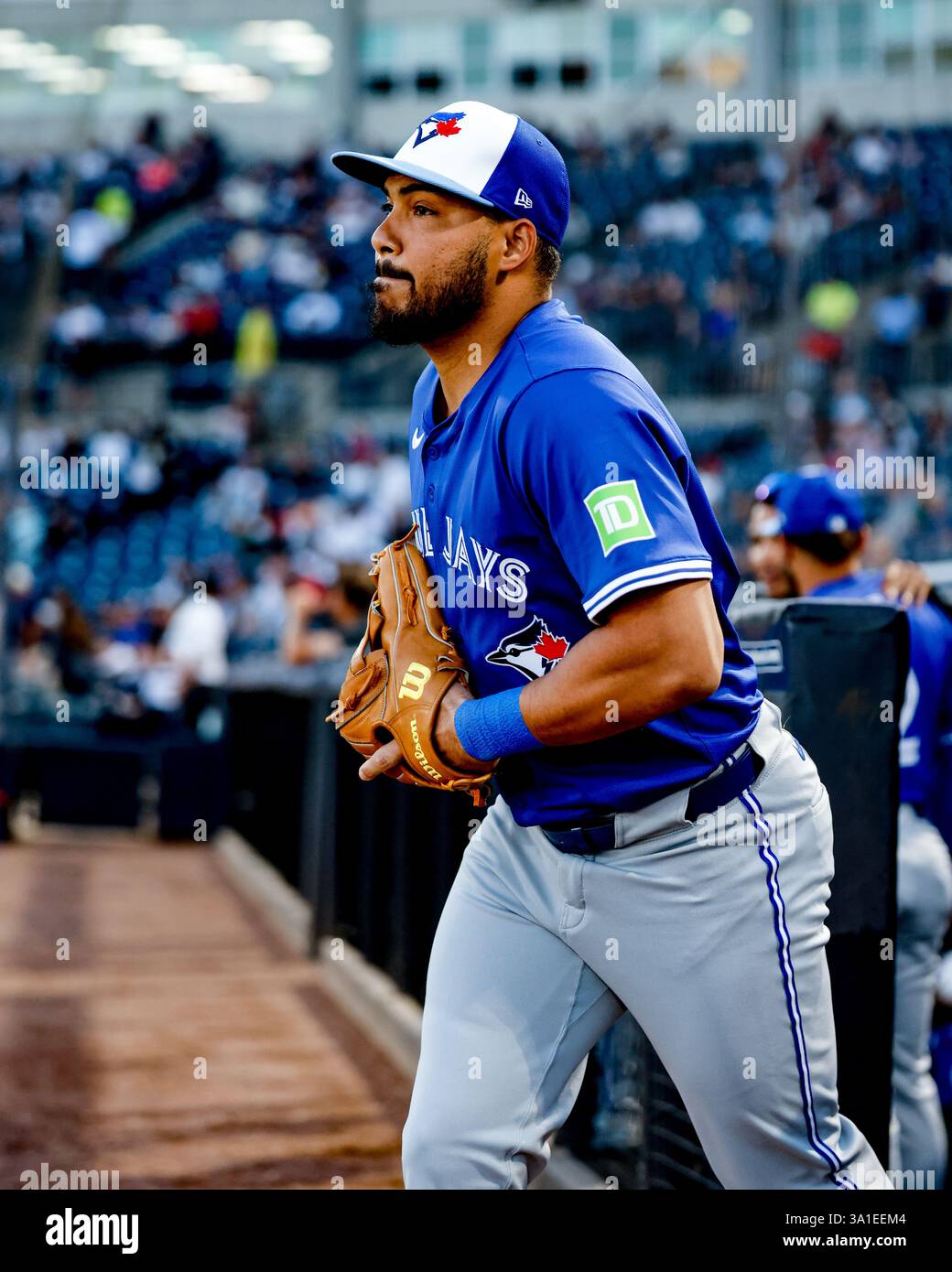 Tampa, USA. 28th Feb, 2025. Toronto Blue Jays outfielder Anthony ...