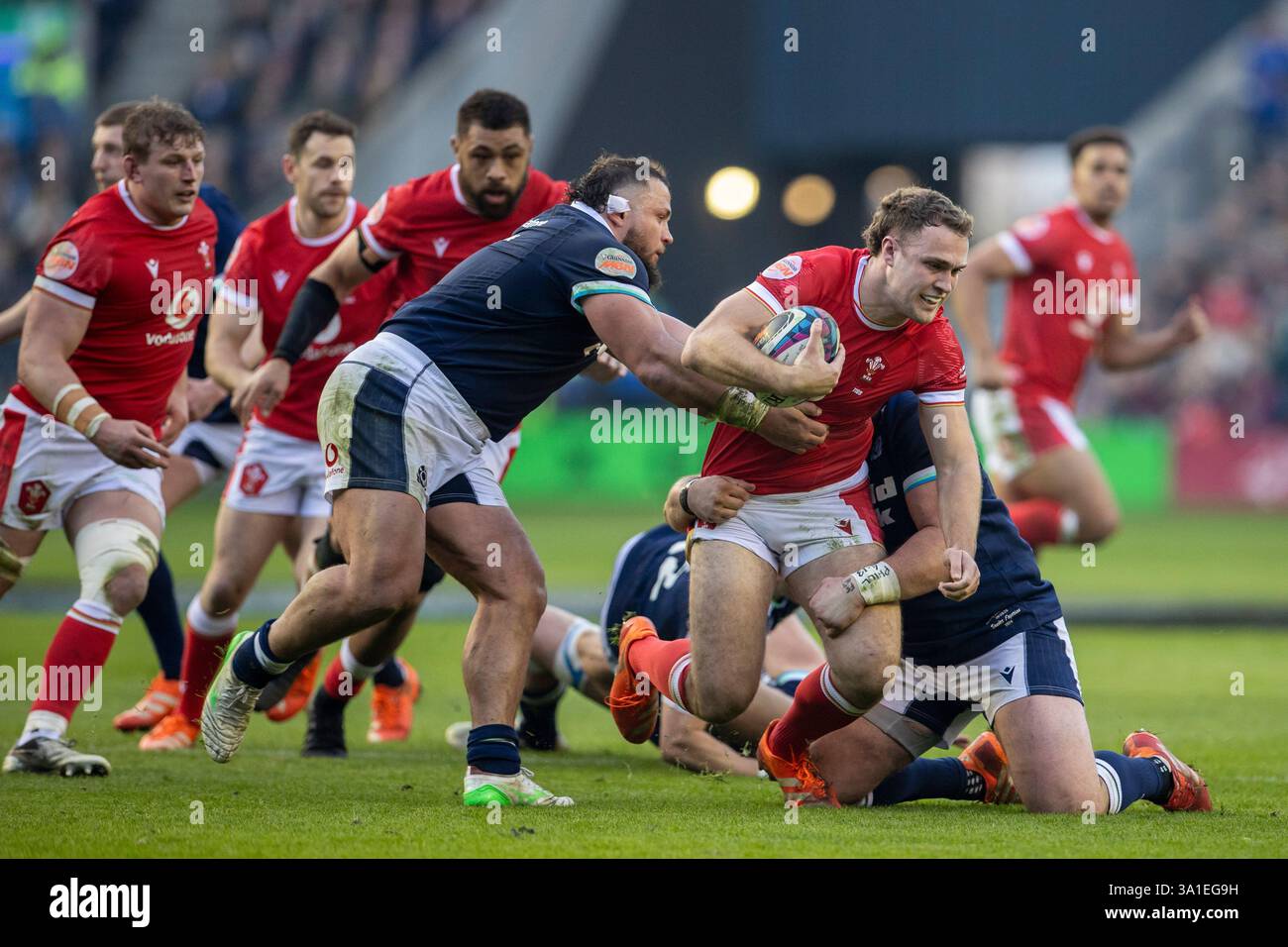 8th March 2025; Murrayfield Stadium, Edinburgh, Scotland: Six Nations International Rugby ...