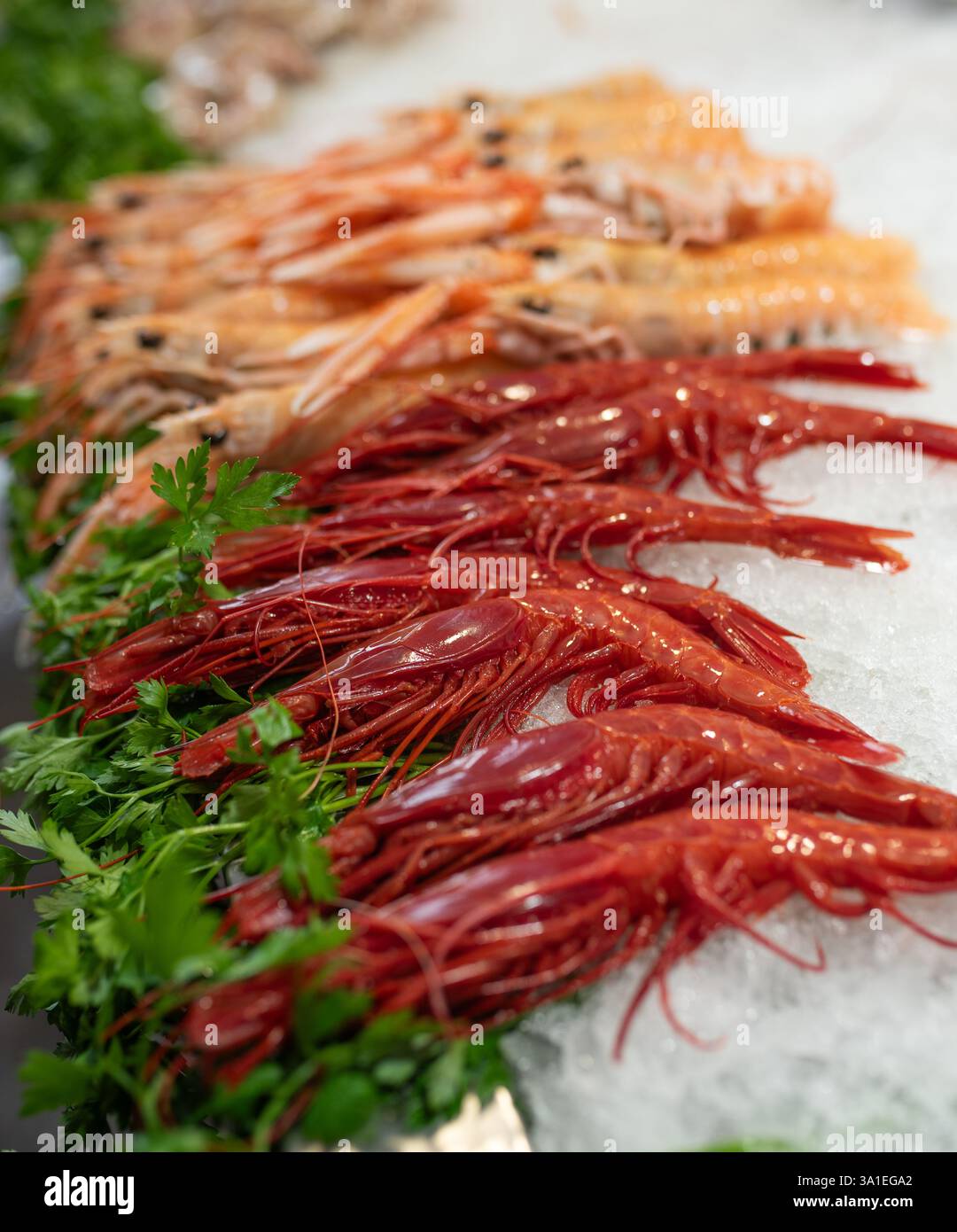 Frozen, boiled shrimp. Texture King prawns background. Seafood on the ...