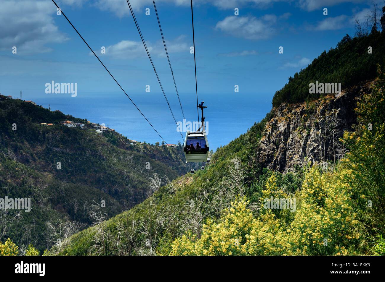 Funchal cable car nearing Monte Station, Madeira, Portugal, funchal ...