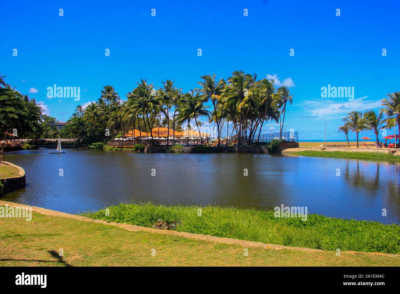 MACEI', AL - 08.03.2025: LAGOA DA ANTA SOFRER RISCO DE DESAPARECER ...