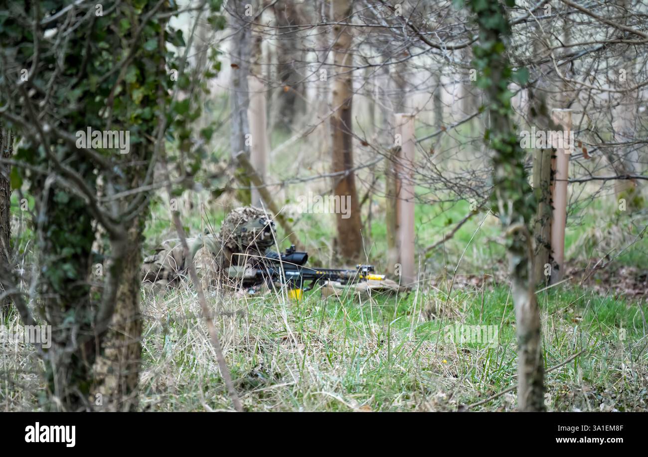 British army infantry soldier sniper laying down in woodland taking aim ...