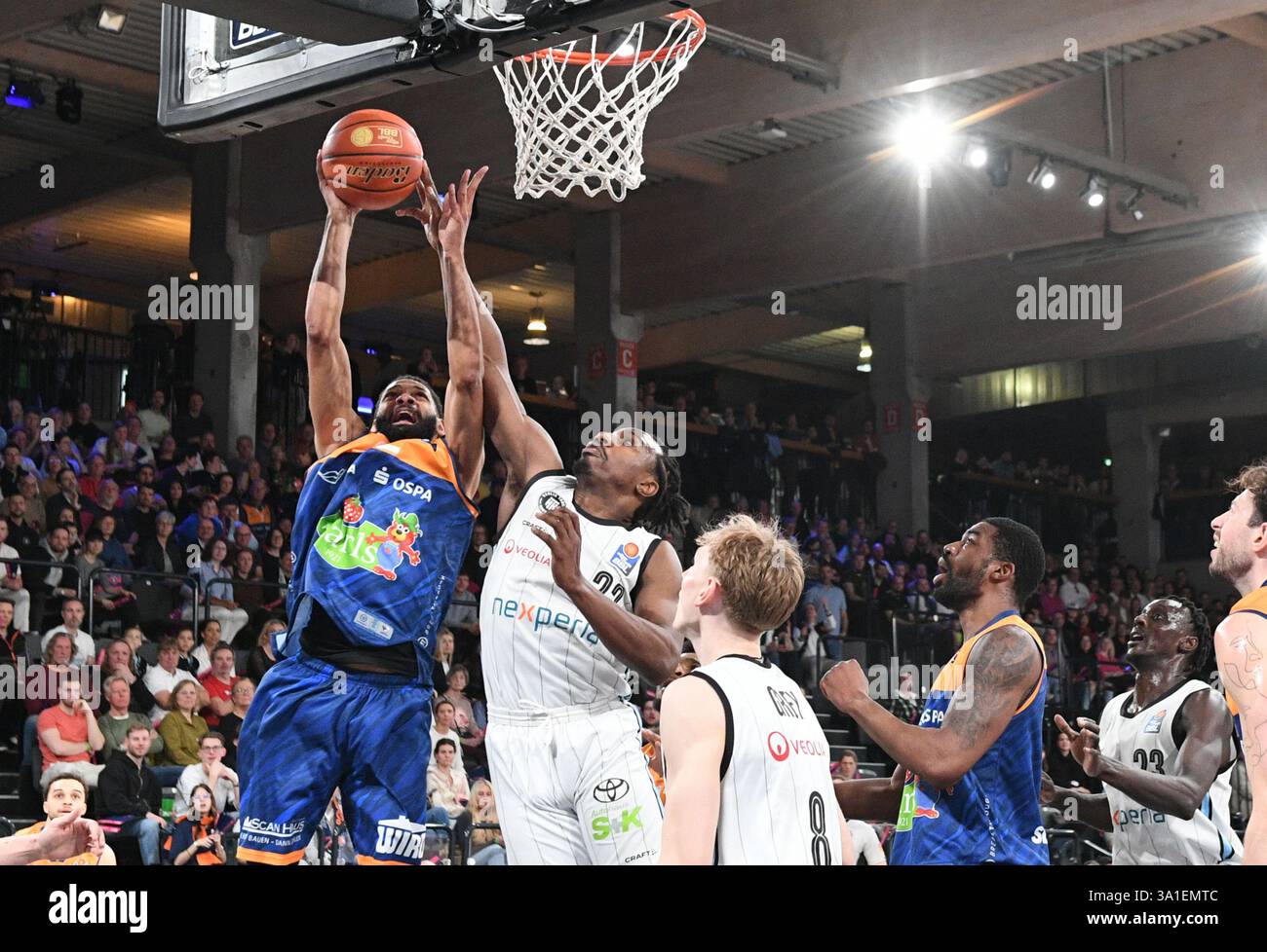 08 March 2025, Hamburg: Hamburg Towers - Rostock Seawolves, easyCredit ...