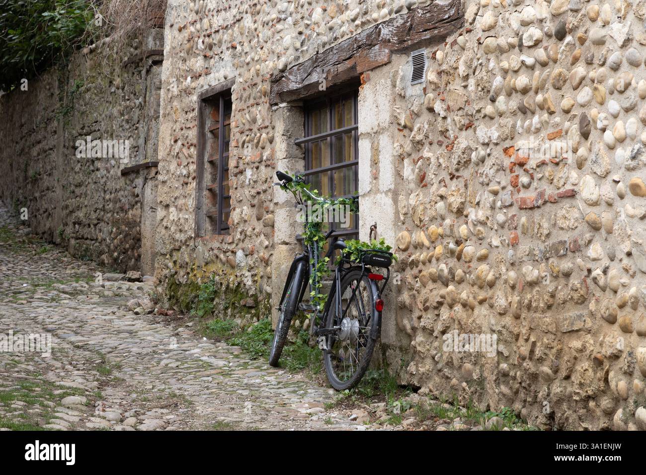 A leaf-decorated bicycle attached to the bars of a window in an old ...