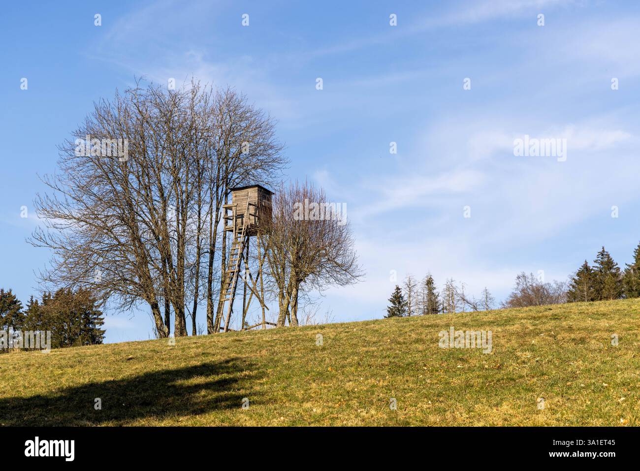 Sonniges Märzwetter Die Sonne scheint auf die Landschaft bei Schmitten ...