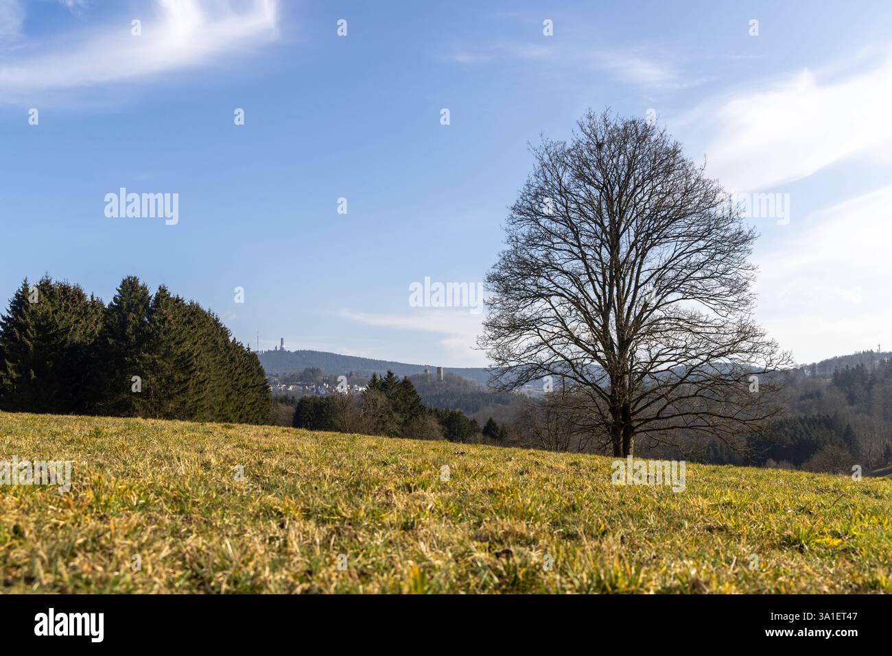 Sonniges Märzwetter Die Sonne scheint auf die Landschaft bei Schmitten ...