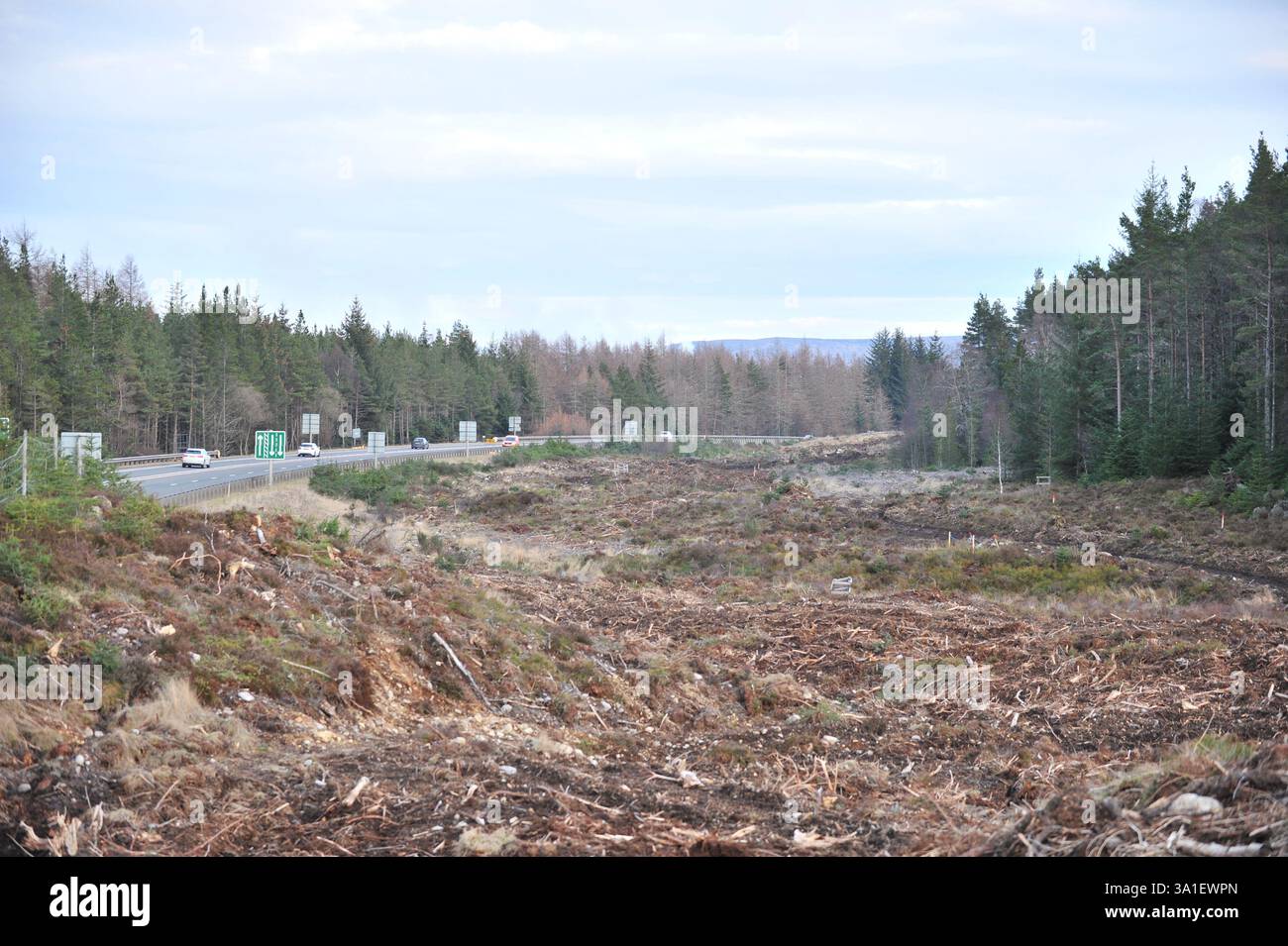 Deforestation uk tractor hi-res stock photography and images - Alamy