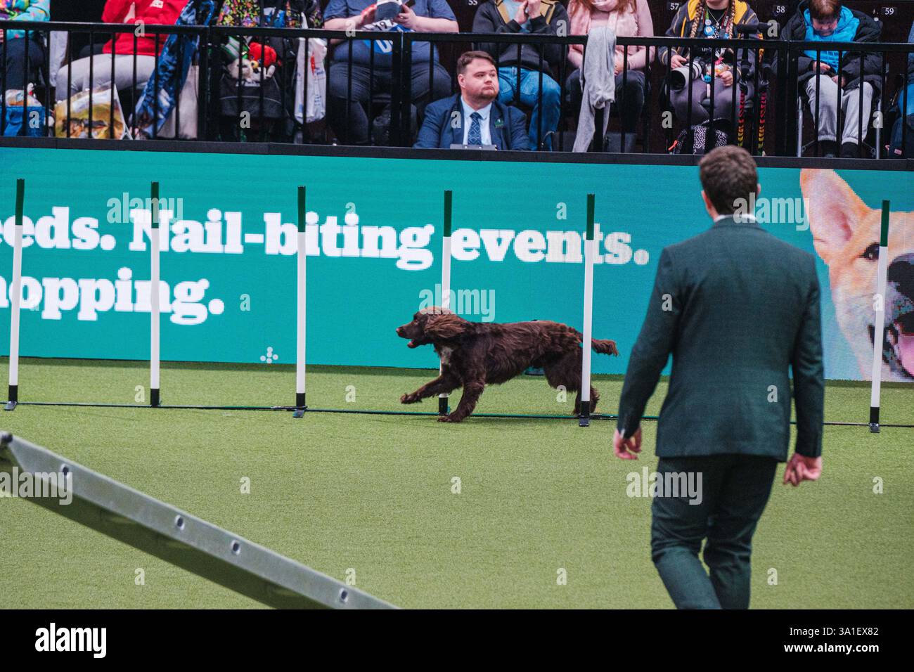 The Young Kennel Club - Agility Dog of the Year Finals is a premier ...