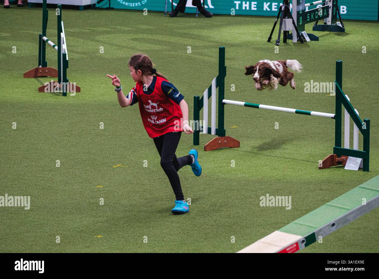 The Young Kennel Club - Agility Dog of the Year Finals is a premier ...