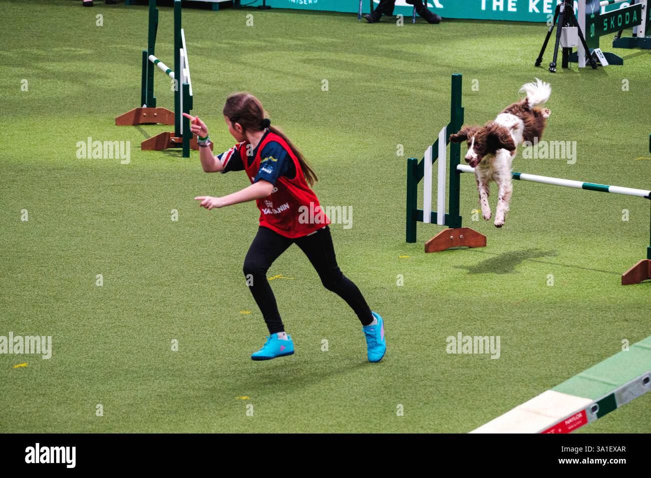 Crufts 2025 uk hi-res stock photography and images - Alamy