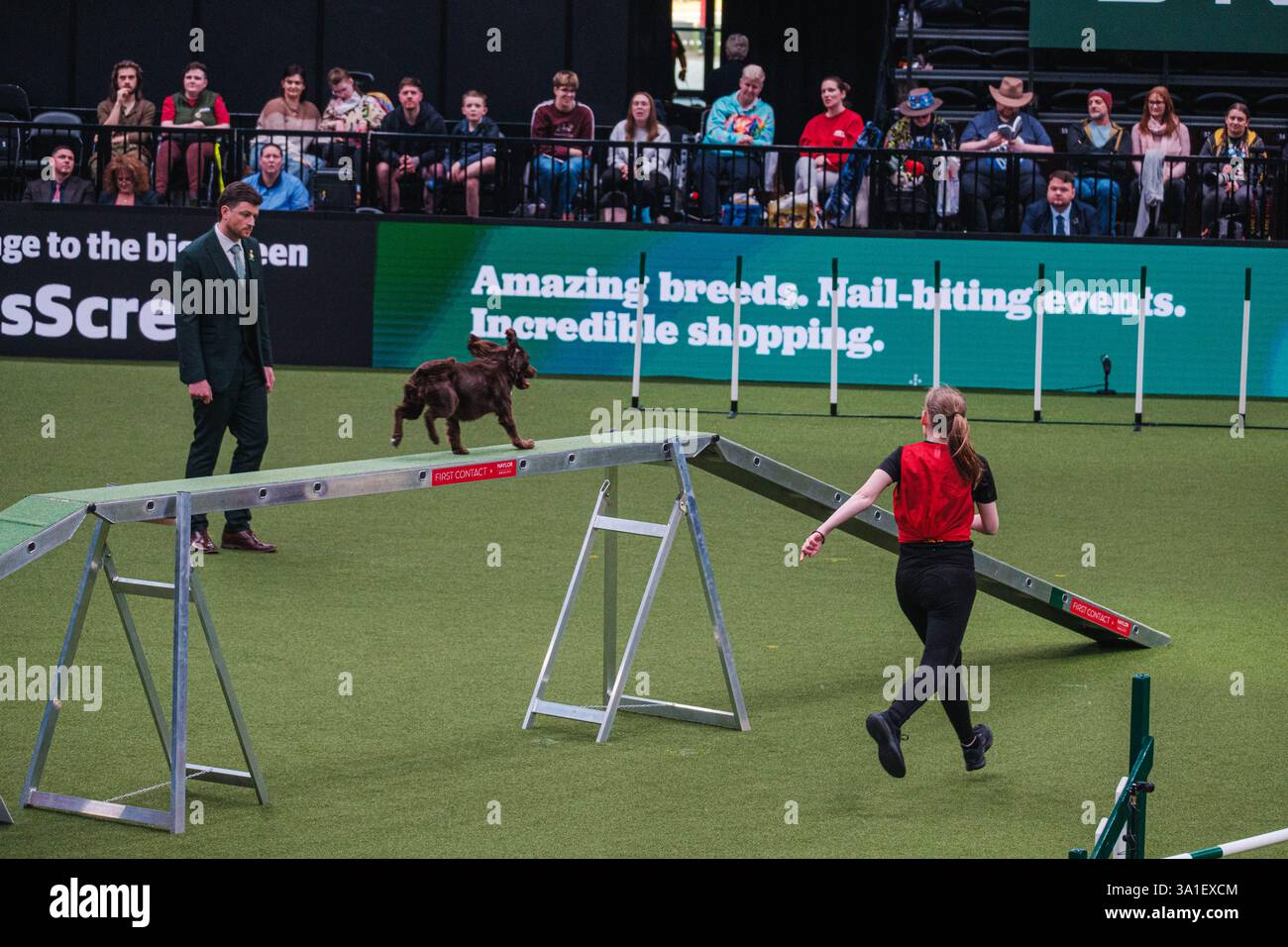 The Young Kennel Club - Agility Dog of the Year Finals is a premier ...