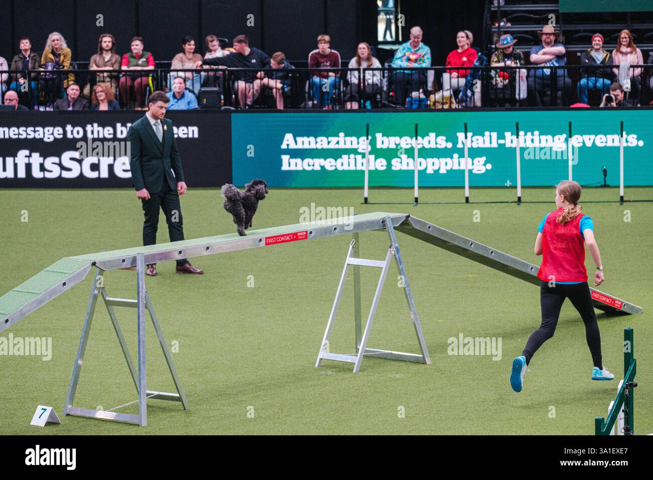 The Young Kennel Club - Agility Dog of the Year Finals is a premier ...