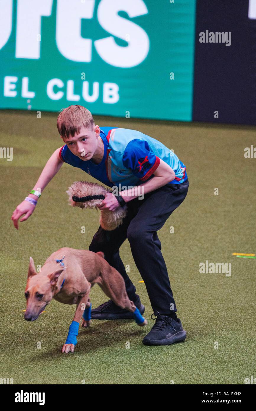 Flyball – YKC Flyball finals followed by Team Flyball Quarter Finals at ...