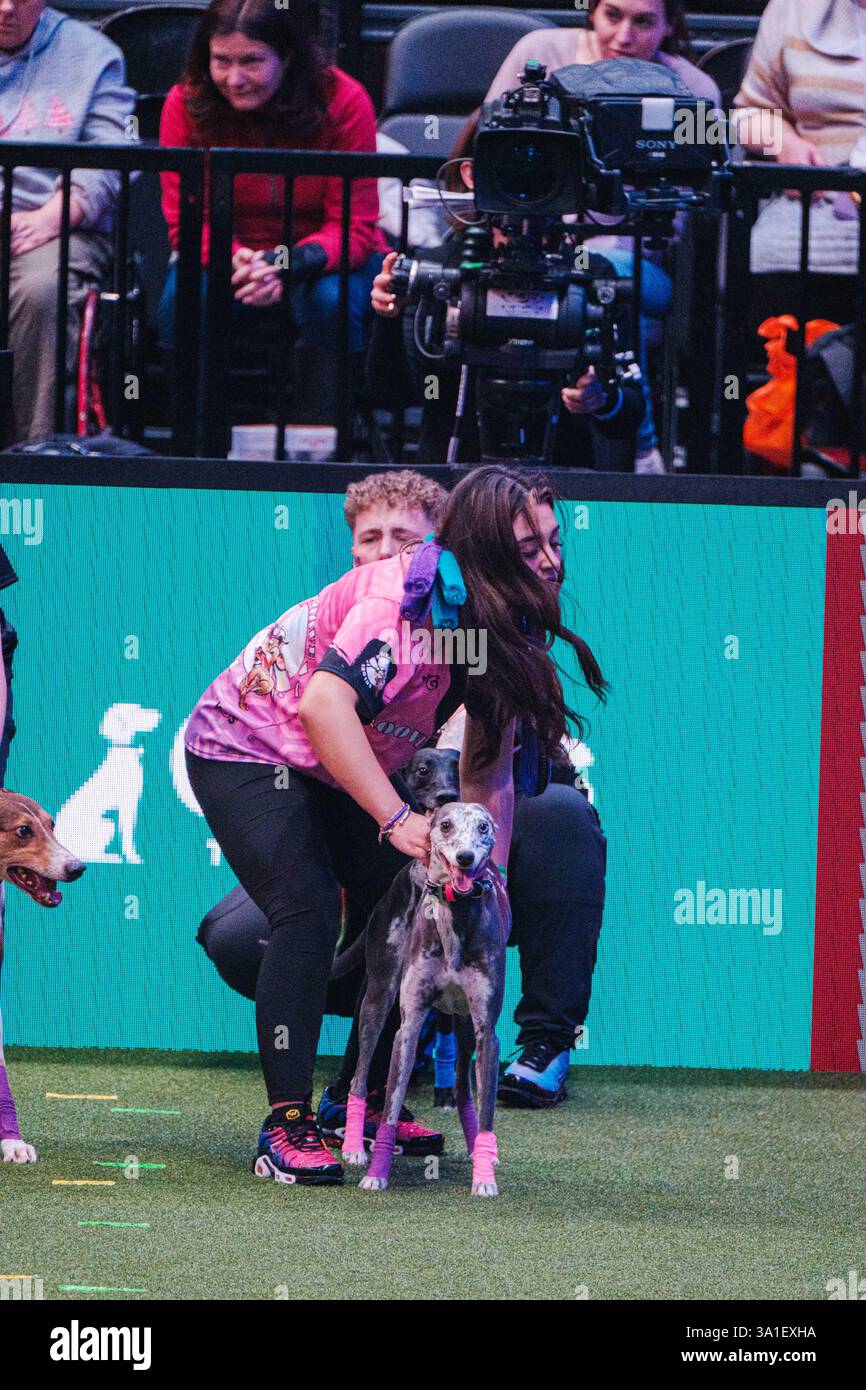 Flyball – YKC Flyball finals followed by Team Flyball Quarter Finals at ...