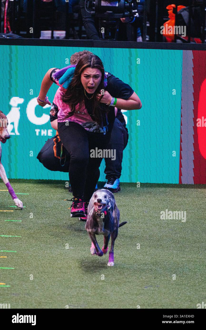 Flyball – YKC Flyball finals followed by Team Flyball Quarter Finals at ...