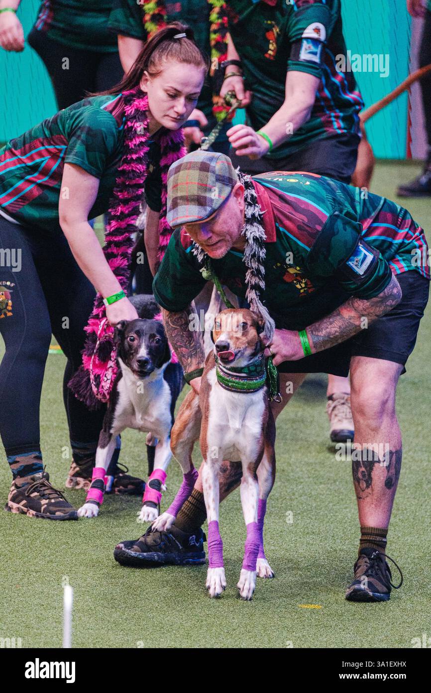 Flyball – YKC Flyball finals followed by Team Flyball Quarter Finals at ...