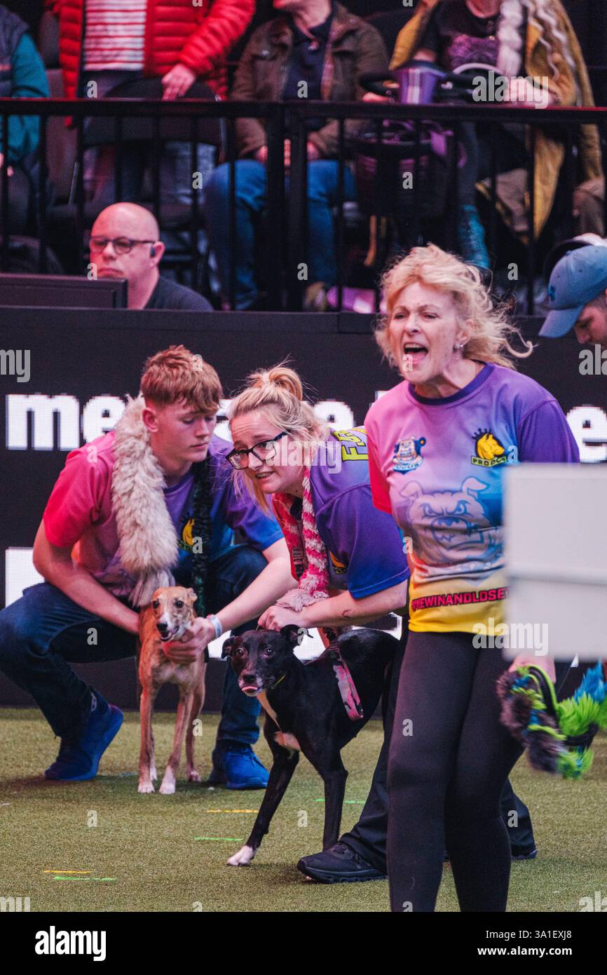 Flyball – YKC Flyball finals followed by Team Flyball Quarter Finals at ...