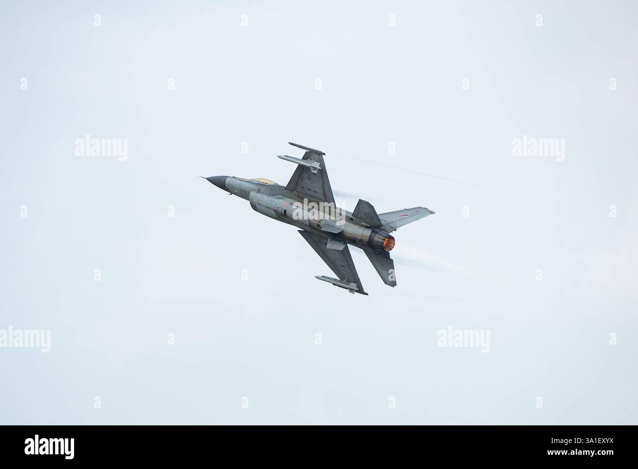 Bangkok, Thailand. 08th Mar, 2025. F-16 of The Royal Thai Air Force ...