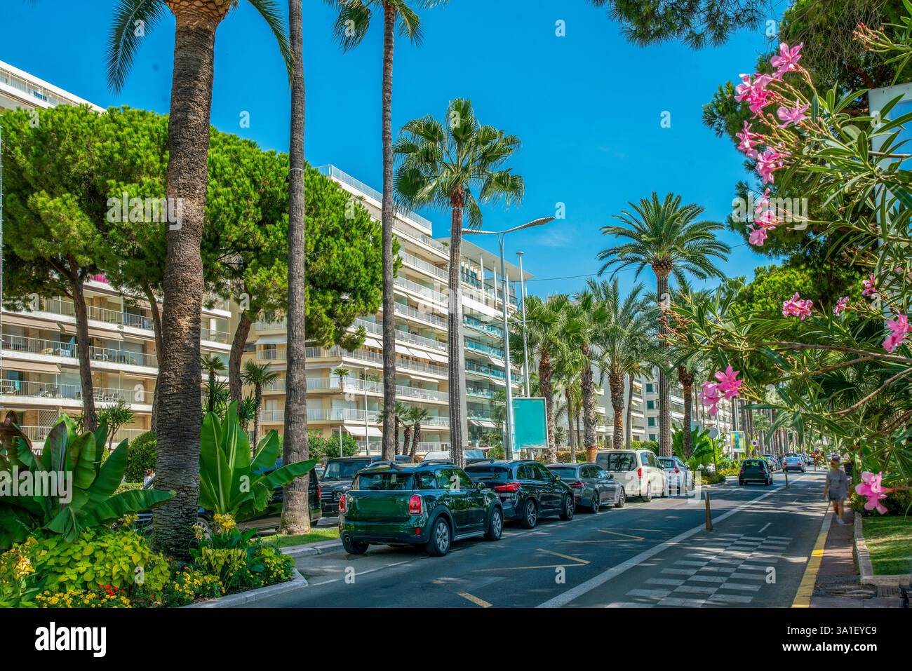 Amazing sunny view of Cannes on Croisette .in left part. Cars moving ...