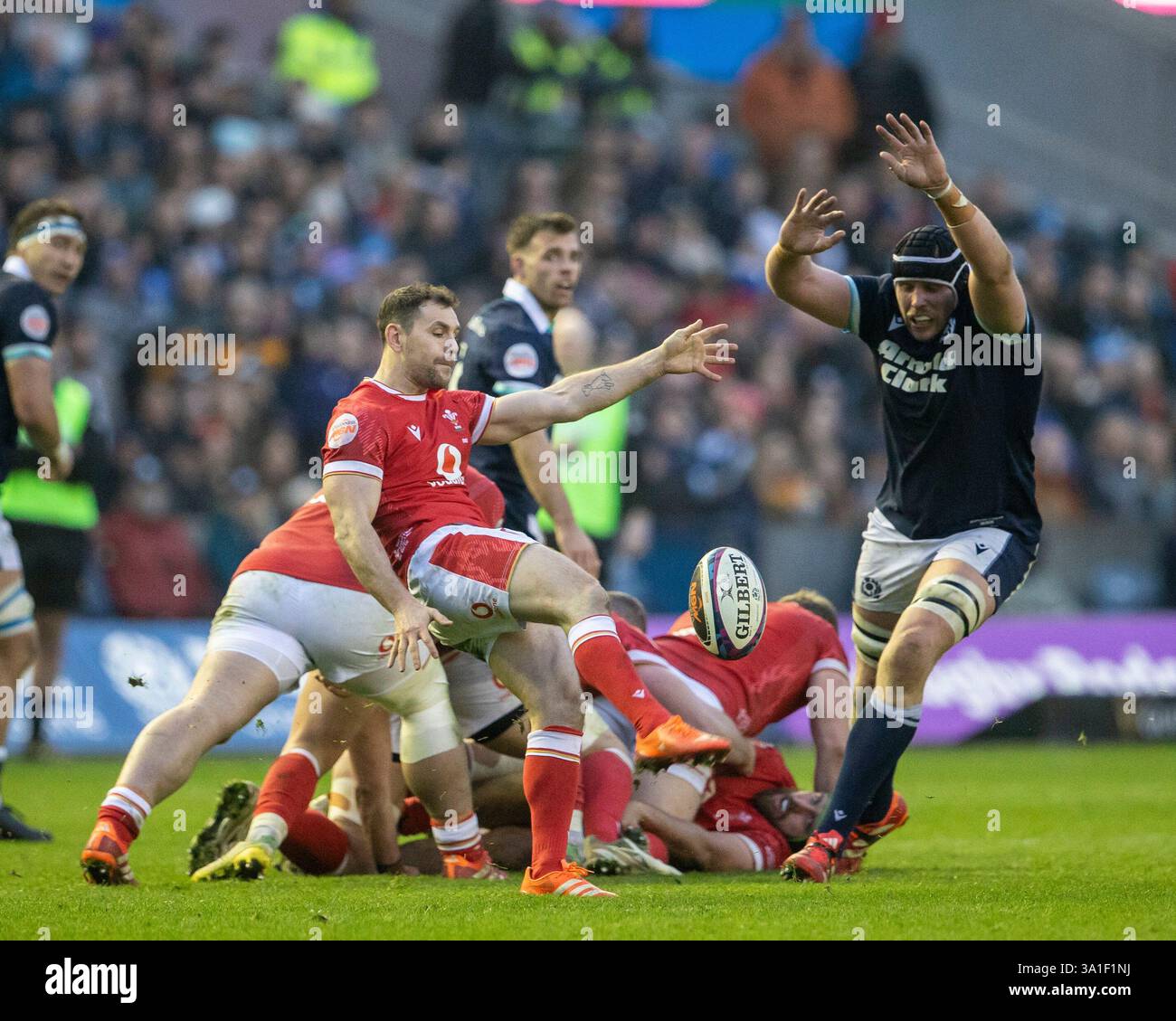 Edinburgh, UK. 8th March 2025; Murrayfield Stadium, Edinburgh, Scotland ...