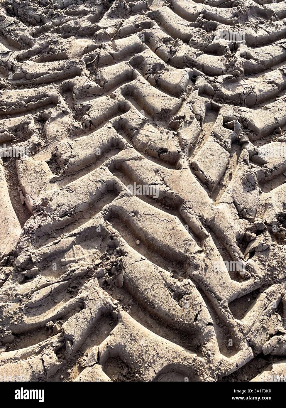 Lkw am strand hi-res stock photography and images - Alamy