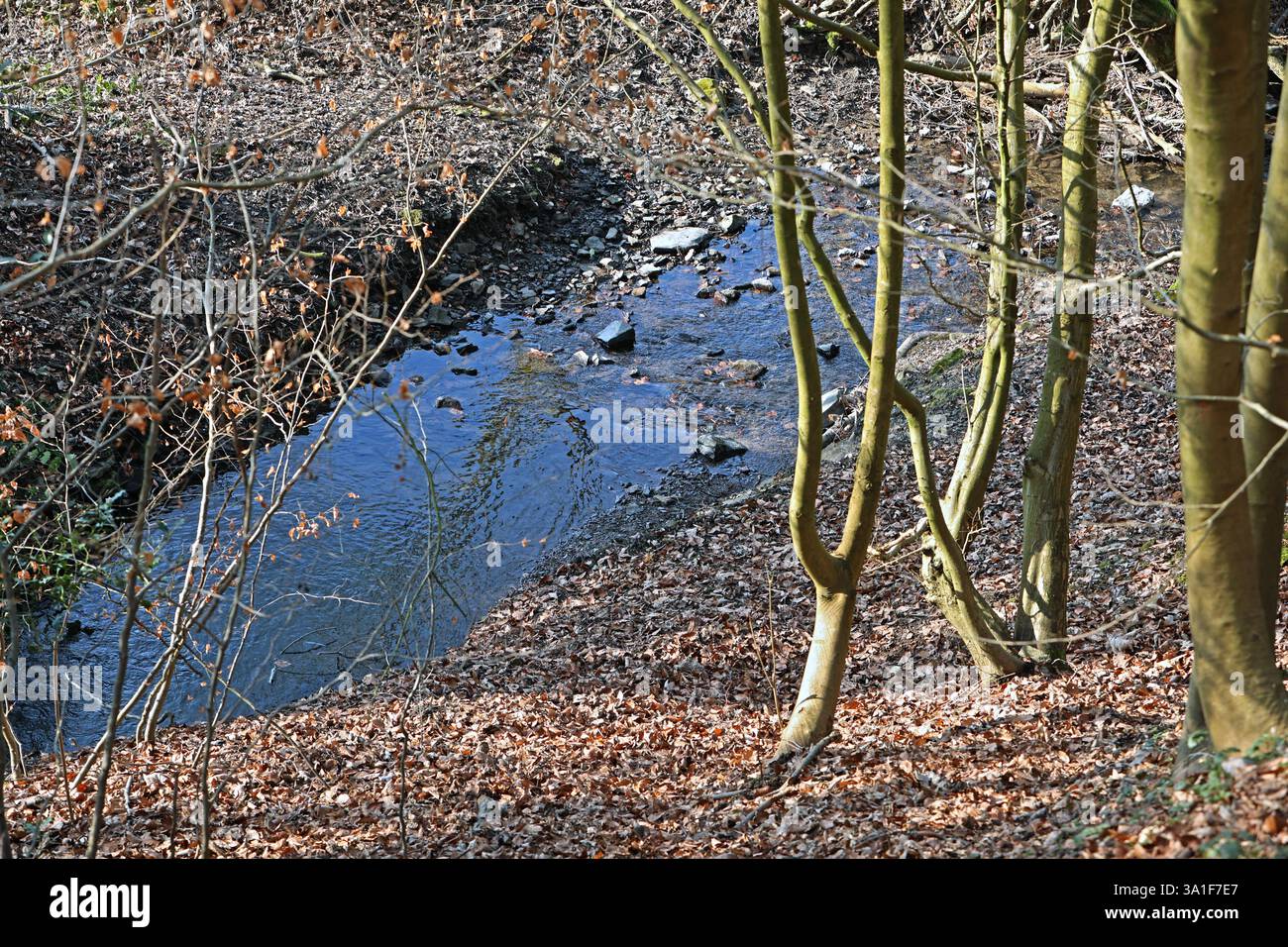 Der Asbach in Essen Kulturlandschaft am Stadtrand von Essen mit dem ...