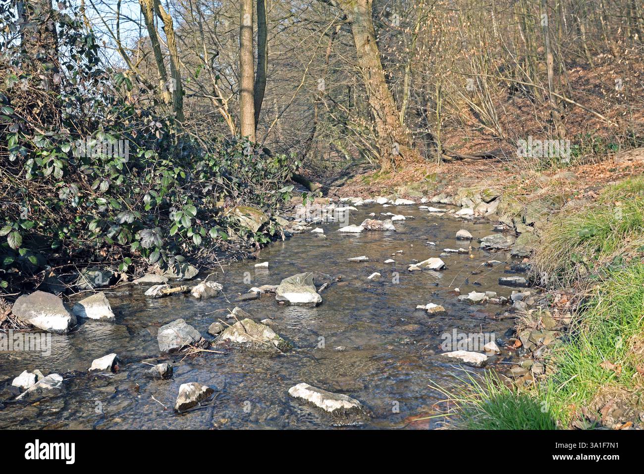 Der Asbach in Essen Kulturlandschaft am Stadtrand von Essen mit dem ...